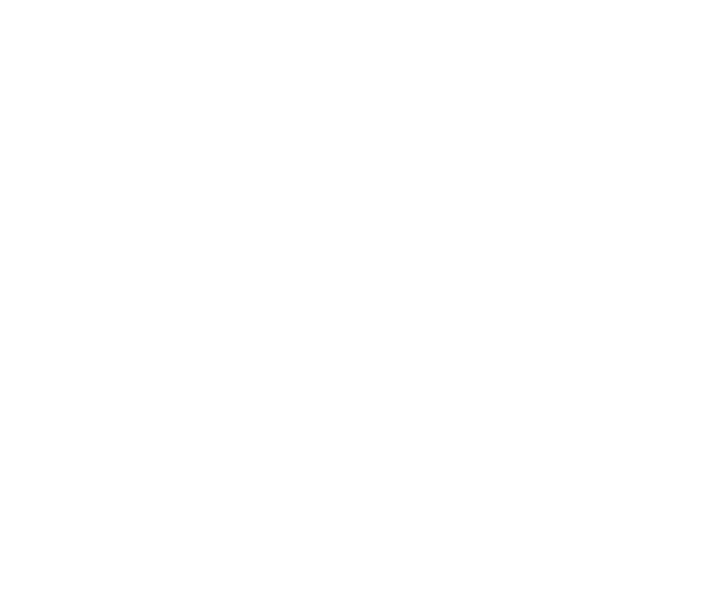 Centre for Computational Social Science and Humanities